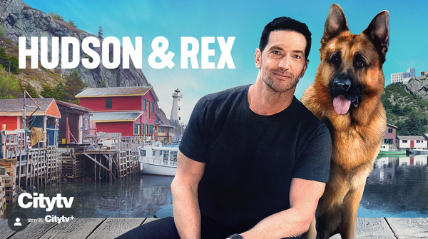 John Reardon Hudson & Rex Controversy